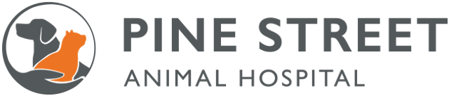 Pine Street Animal Hospital | Vets and Staff