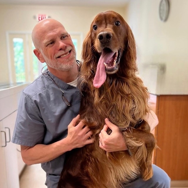 Pine Street Animal Hospital | Vets and Staff